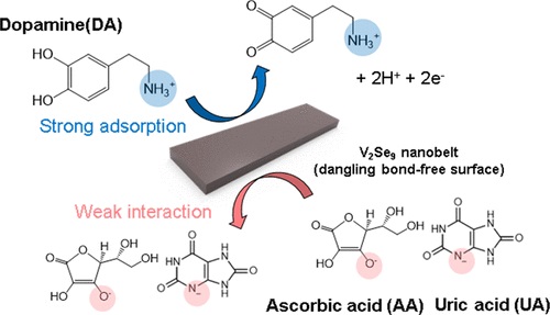 Vanadium Selenide Nanobelt Electrocatalyst for Dopamine-Selective ...
